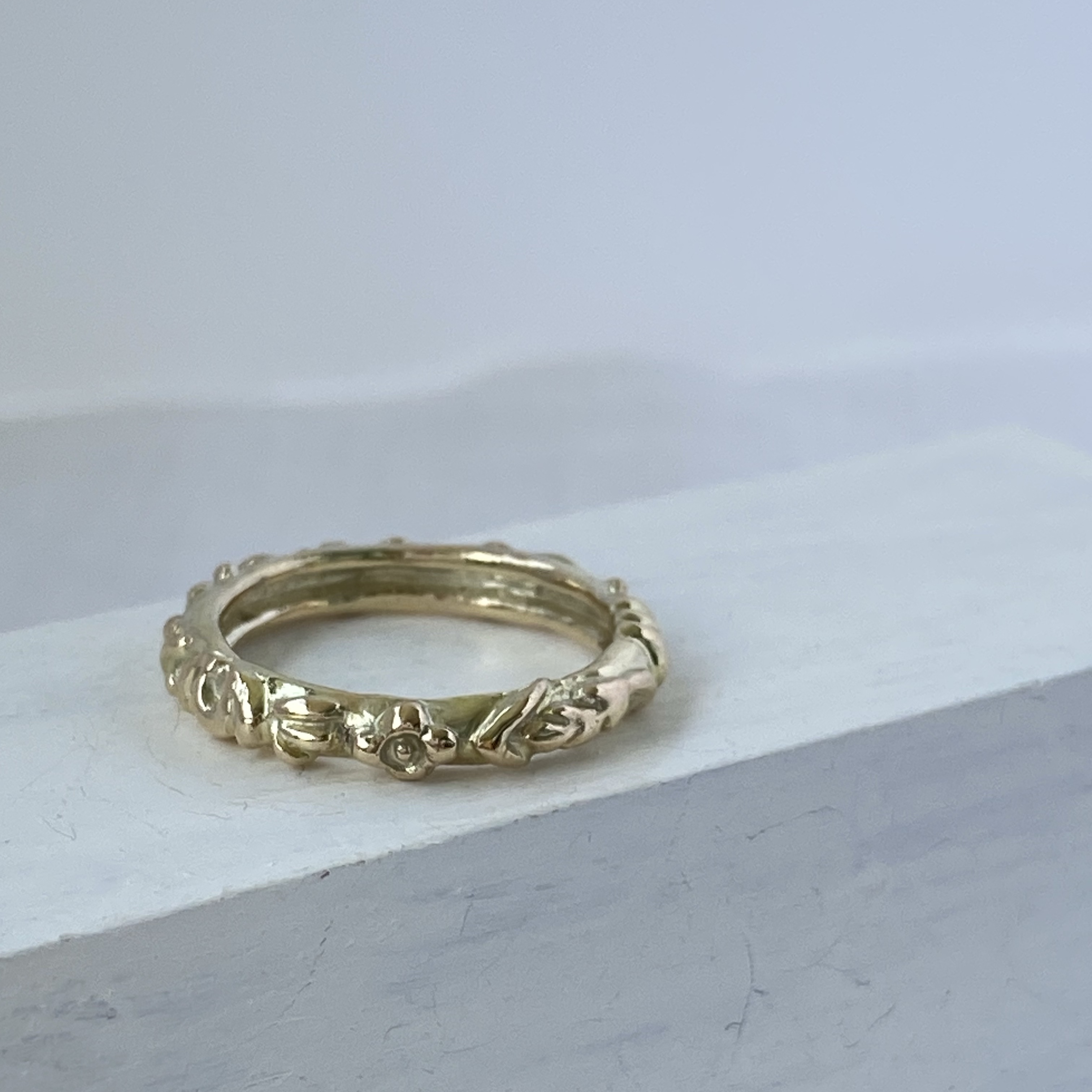 index ring (K14) | Ray H