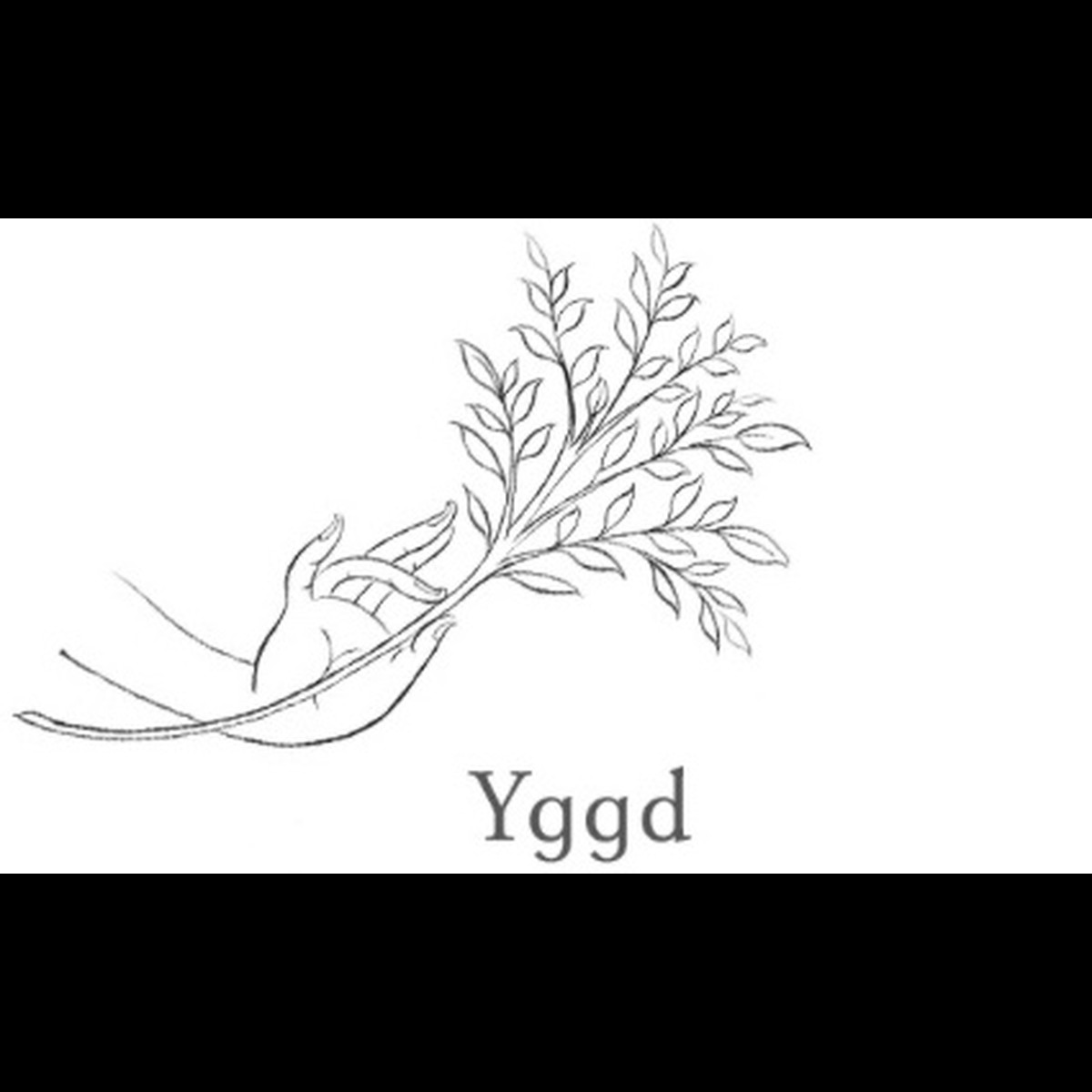 yggd