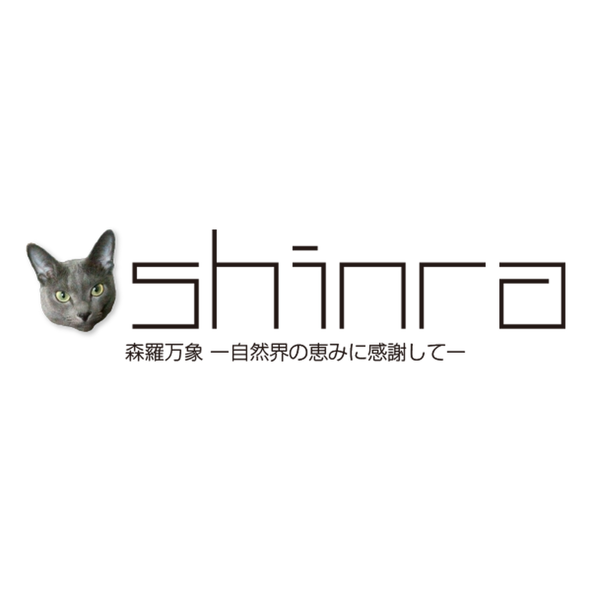 About Shinra