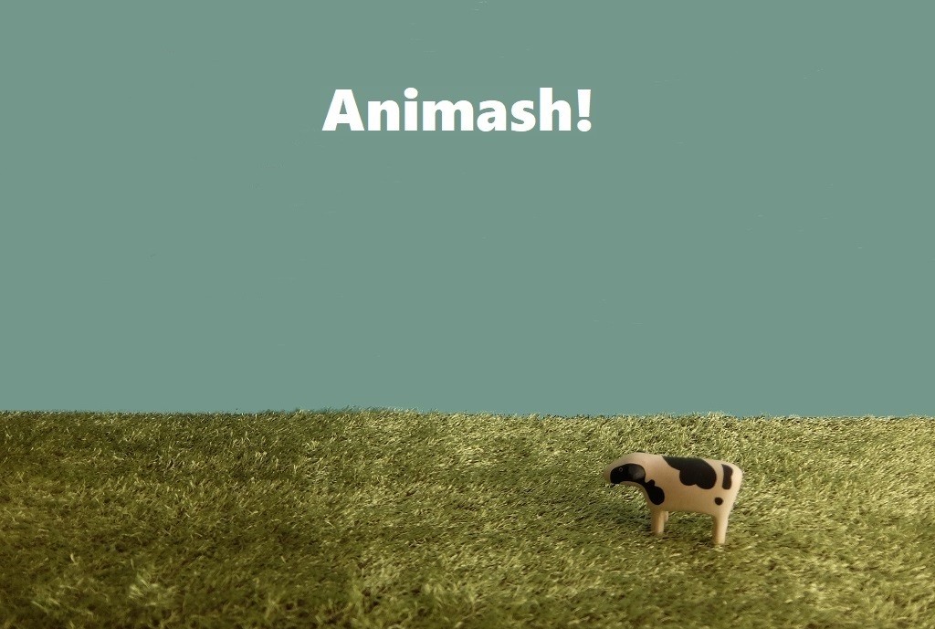 Animash!