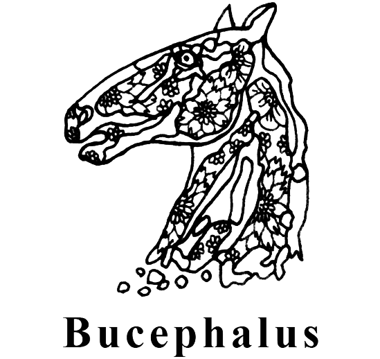 ABOUT | Bucephalus