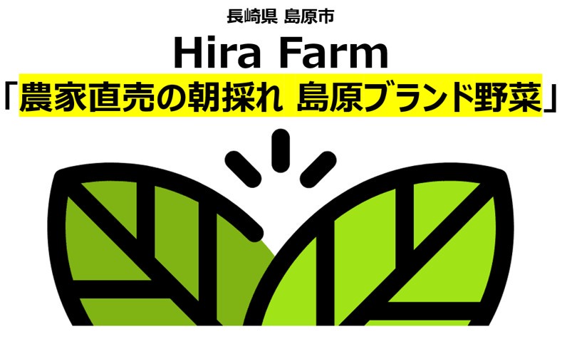 長崎県島原市 Hira Farm「農家直売の朝どれ 島原ブランド野菜」