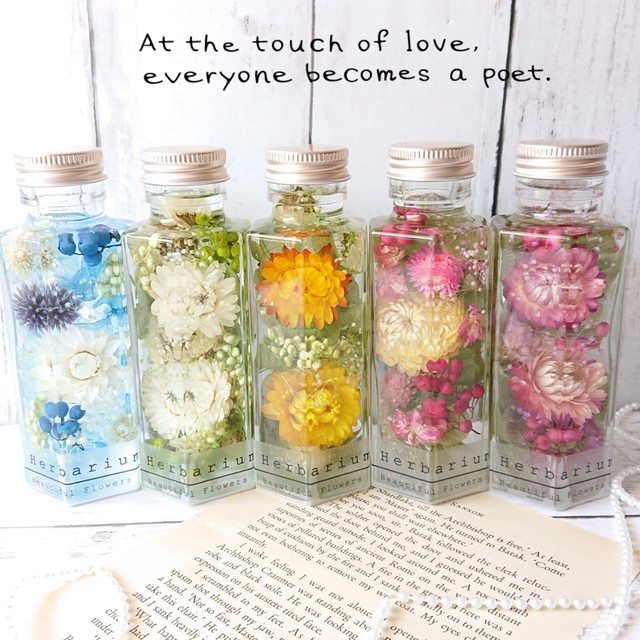 195 ꕤ*。゜ハーバリウム ꕤ*。゜ - nimfomane.com